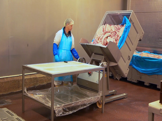 Backsaver and Nimo-KG, lifters and tippers for food industry ...