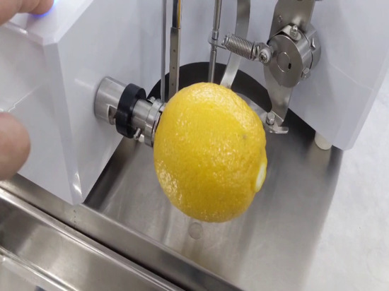 KA-700H zests lemons for Limoncello in only 3 sec! - Japan, 〒960-0231 ...