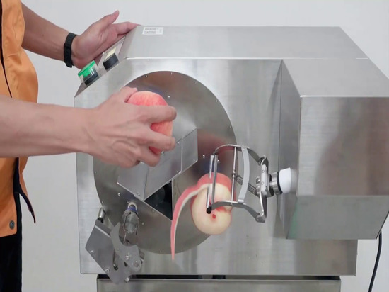 Revolutionize Peach Peeling Machine! - 960-0231, Japan - ASTRA