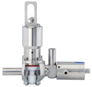 採取バルブ - BioCheck - Gebr. Rieger GmbH + Co. KG - レバー / 手動ハンドル付き / ステンレススチール製