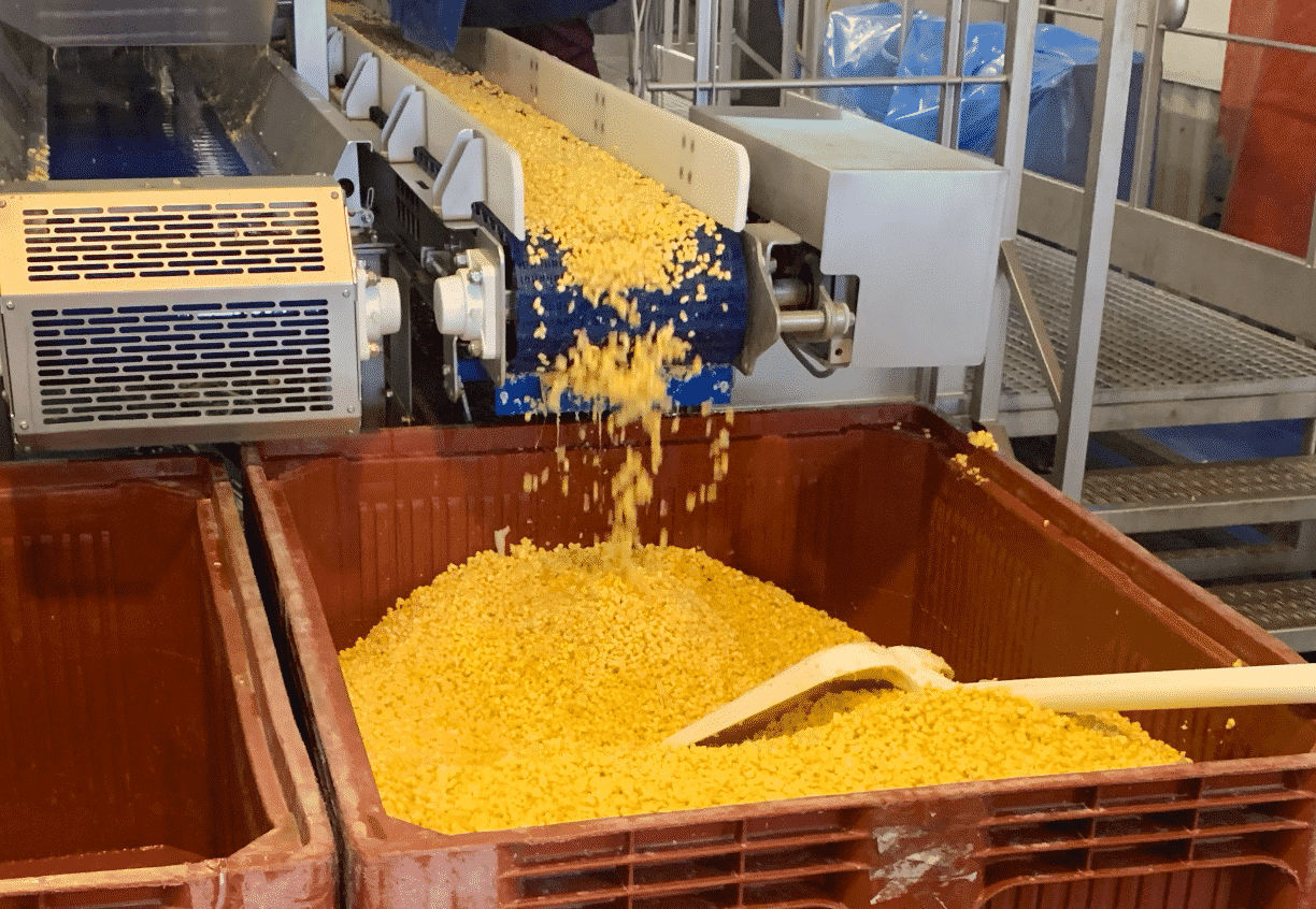 食品産業用処理ライン - IQF - PROEX FOOD - トウモロコシ用