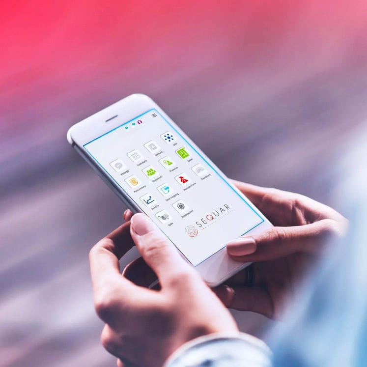 計算ソフトウェア - Sequar - Libellula S.r.l - 統合基幹業務システム（ERP） / 貯蔵用 / 同期