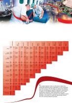 Barnier System Brochure - Scapa - PDF Catalogs | Technical ...