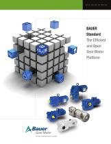 The BAUER 2010 Platform - Bauer Gear Motor - PDF Catalogs | Technical ...
