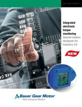 Integrated electronic torque monitoring - Bauer Gear Motor - PDF ...