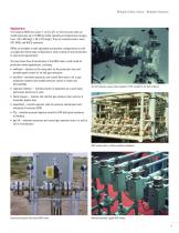 Multiple Orifice Valve Chokes - CAMERON - PDF Catalogs | Technical ...