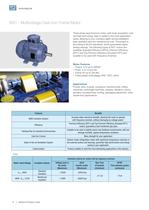 Motors - LV Product Lines - European Market - WEG - PDF Catalogs ...