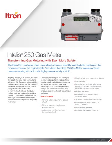 GenTM5 RivaMeter - Itron - PDF Catalogs | Technical Documentation | Brochure