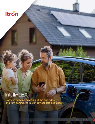 Gen5 Riva Polyphase Meter - Itron - PDF Catalogs | Technical ...