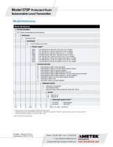 Model 575P - AMETEK Drexelbrook - PDF Catalogs | Technical ...