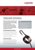 Torsion Springs Catalogue - Catalog Library