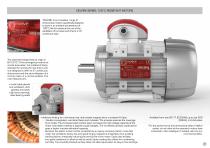 DELPHI SERIES ASYNCHRONOUS THREE-PHASE ELECTRIC MOTORS - MOTIVE - PDF ...