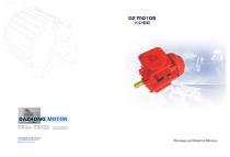 IEC Standard Exprosion Proof Motors - Jiangsu Dazhong Electric Motor CO ...