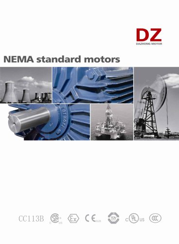 All Jiangsu Dazhong Electric Motor CO., Ltd catalogs and technical ...