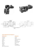 Motor - Radicon - PDF Catalogs | Technical Documentation | Brochure
