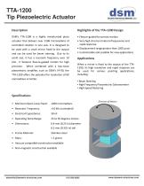 TTA-1200 - DSM - PDF Catalogs | Technical Documentation | Brochure
