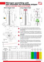 Nitrogen punching unitwith removable and mouldable stripper - SPECIAL ...