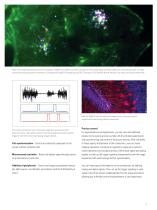 Leica DMi8 S - Leica Microsystems GmbH - PDF Catalogs | Technical ...