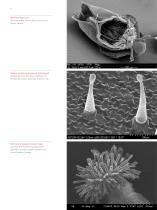 Leica EM CPD300 - Leica Microsystems GmbH - PDF Catalogs | Technical ...