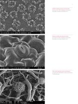 Leica EM CPD300 - Leica Microsystems GmbH - PDF Catalogs | Technical ...