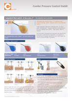 Condor Pressure Control GmbH - Condor Pressure Control GmbH - PDF ...