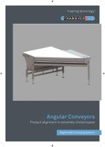 Angular Conveyors - Rotzinger Group - PDF Catalogs | Technical ...