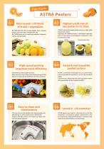 ASTRA brochure - ASTRA - PDF Catalogs | Technical Documentation | Brochure