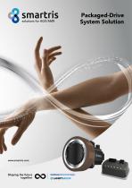 Packaged-Drive System Solution - Lafert - PDF Catalogs | Technical ...