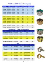 TW Couplings - LUXECASTING INTERNATIONAL GROUP - PDF Catalogs ...