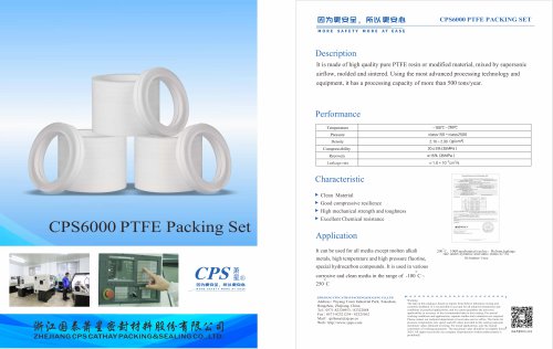 CPS2311 PTFE Filament Braided Packing - Zhejiang CPS Cathay Packing ...