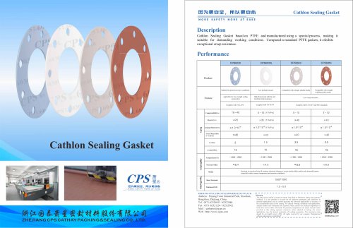 All Zhejiang CPS Cathay Packing Sealing CO., LTD catalogs and technical ...