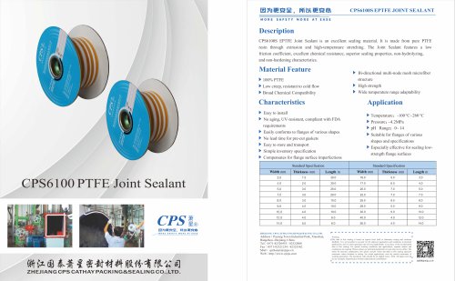 All Zhejiang CPS Cathay Packing Sealing CO., LTD catalogs and technical ...