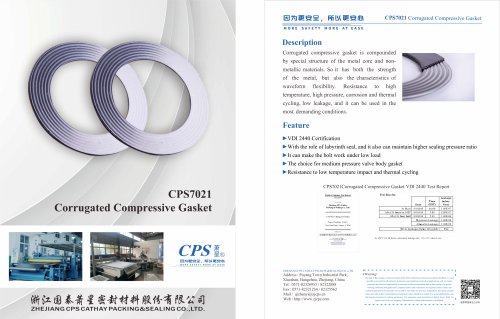 CPS6030/6040/6050 Modified PTFE Gasket - Zhejiang CPS Cathay Packing ...