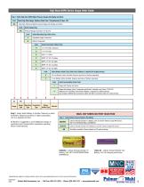 Digi-Stem® DSPG - Palmer Wahl Instruments, Inc. - PDF Catalogs | Technical Documentation | Brochure