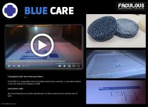 BLUECARE presentation - FABULOUS - PDF Catalogs | Technical ...