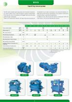 Liquid ring vacuum pumps - ROBUSCHI - PDF Catalogs | Technical ...