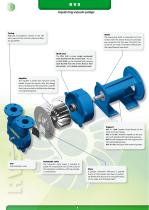 Liquid ring vacuum pumps - ROBUSCHI - PDF Catalogs | Technical ...
