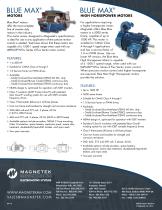 Black Max® Motors - Magnetek - PDF Catalogs | Technical Documentation ...