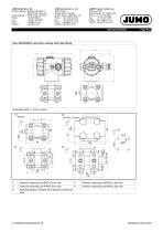 JUMO SIRAS P21 DP - JUMO Process Control, Inc. - PDF Catalogs | Technical Documentation | Brochure