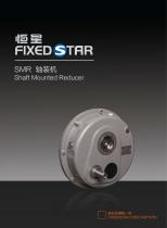 Parallel-shaft gear reducer - FF - HANGZHOU SINO-DEUTSCHE POWER ...