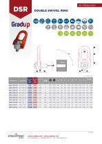 DSR - Codipro - PDF Catalogs | Technical Documentation | Brochure