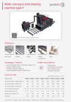 Roller conveyor shot blasting machine - P - Gostol TST - for profiles ...
