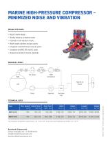 HIGH-PRESSURE COMPRESSORS FOR LNG BOG MANAGEMENT - Burckhardt ...