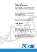 Products Catalogue 2008 - CASTEL - PDF Catalogs | Technical ...