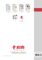 Safety modules CS series - Pizzato Elettrica - PDF Catalogs | Technical ...