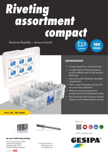 Product_information_blind_riveting_assortment_Pro - SFS Group Germany GmbH - PDF Catalogs ...