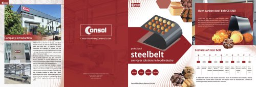All Consol steel belt catalogs and technical brochures
