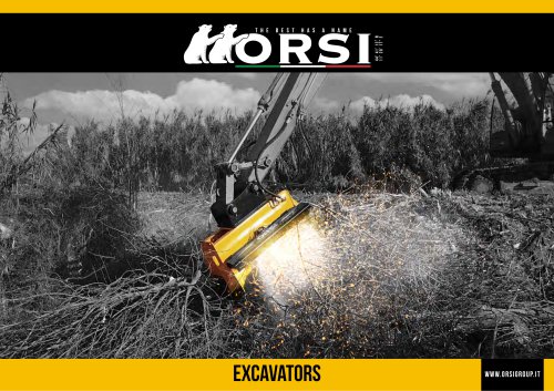 All ORSI GROUP SRL catalogs and technical brochures