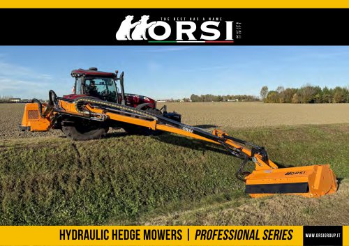 All ORSI GROUP SRL catalogs and technical brochures