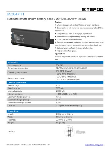 GS2024HH-4S2P-Standard smart li-ion battery pack - TEFOO - PDF Catalogs ...